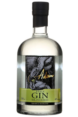 Information sur le gin